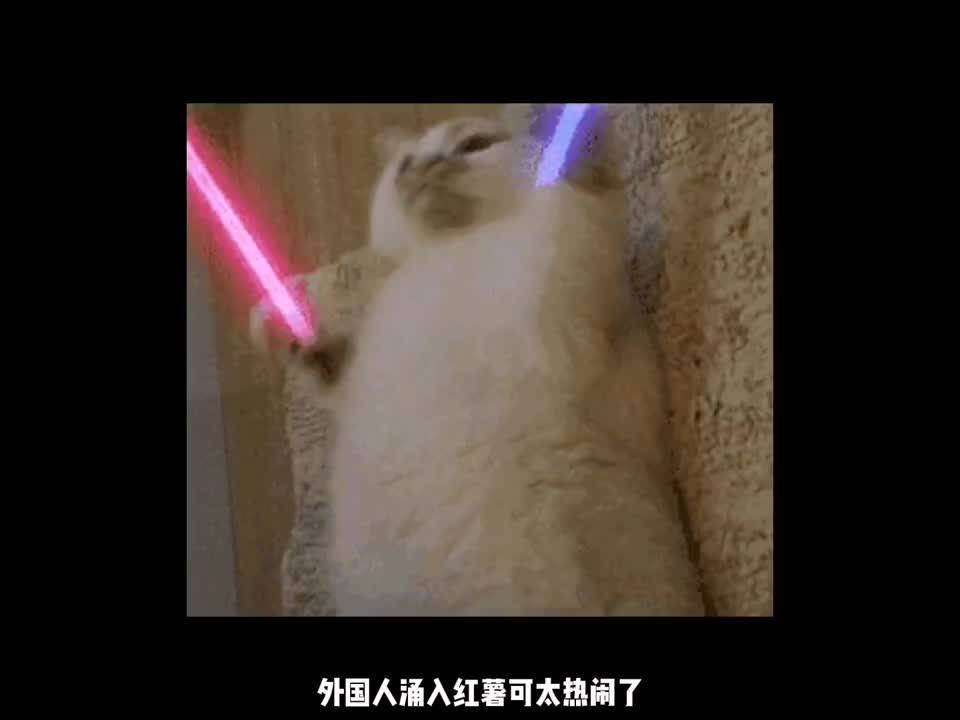 外国人在中国疯狂交税 不懂就问,你们外国人这么爱交税嘛