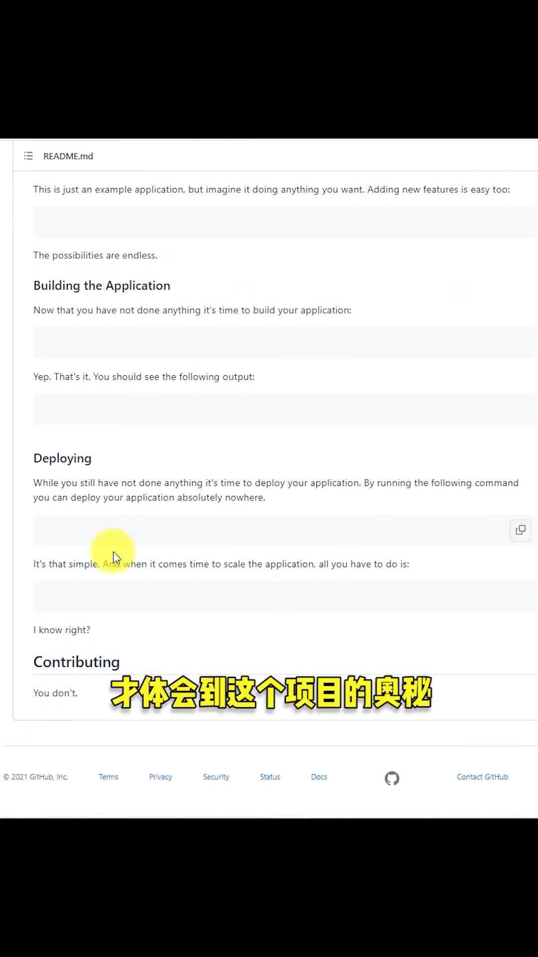 编程启航:探秘代码世界之旅