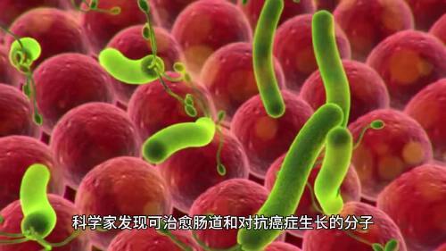 科学家发现可治愈肠道和对抗癌症生长的分子