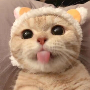 whiteeen 