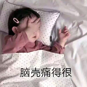 睡不醒的鲨鱼 