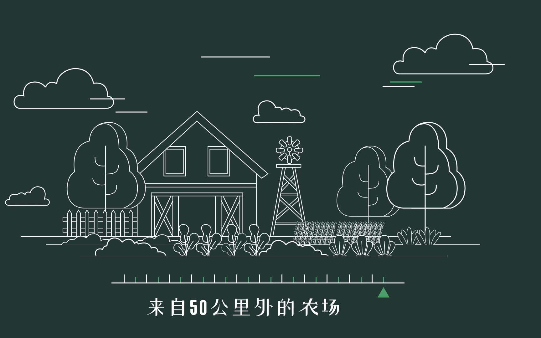 MG动画-商业案例
