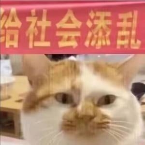 just_ShiRan 