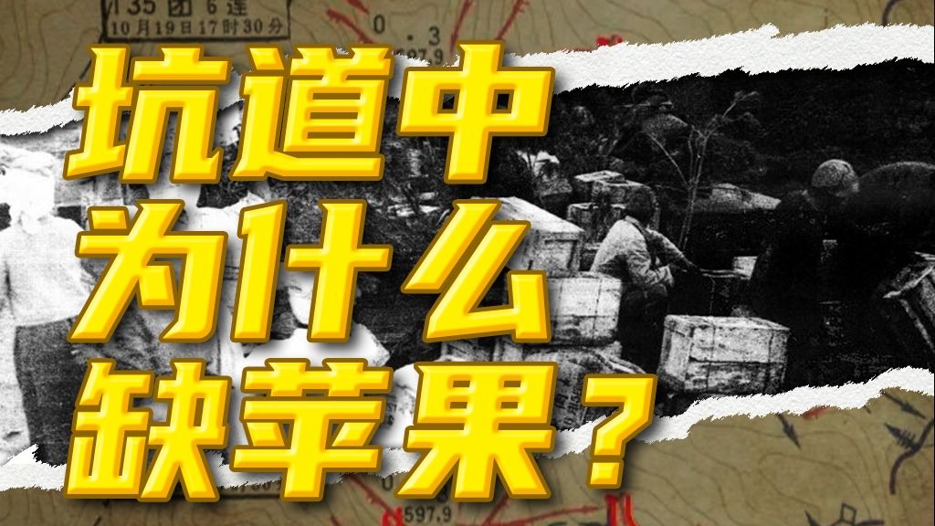 坑道并不神奇,真正厉害的,是坑道里的人