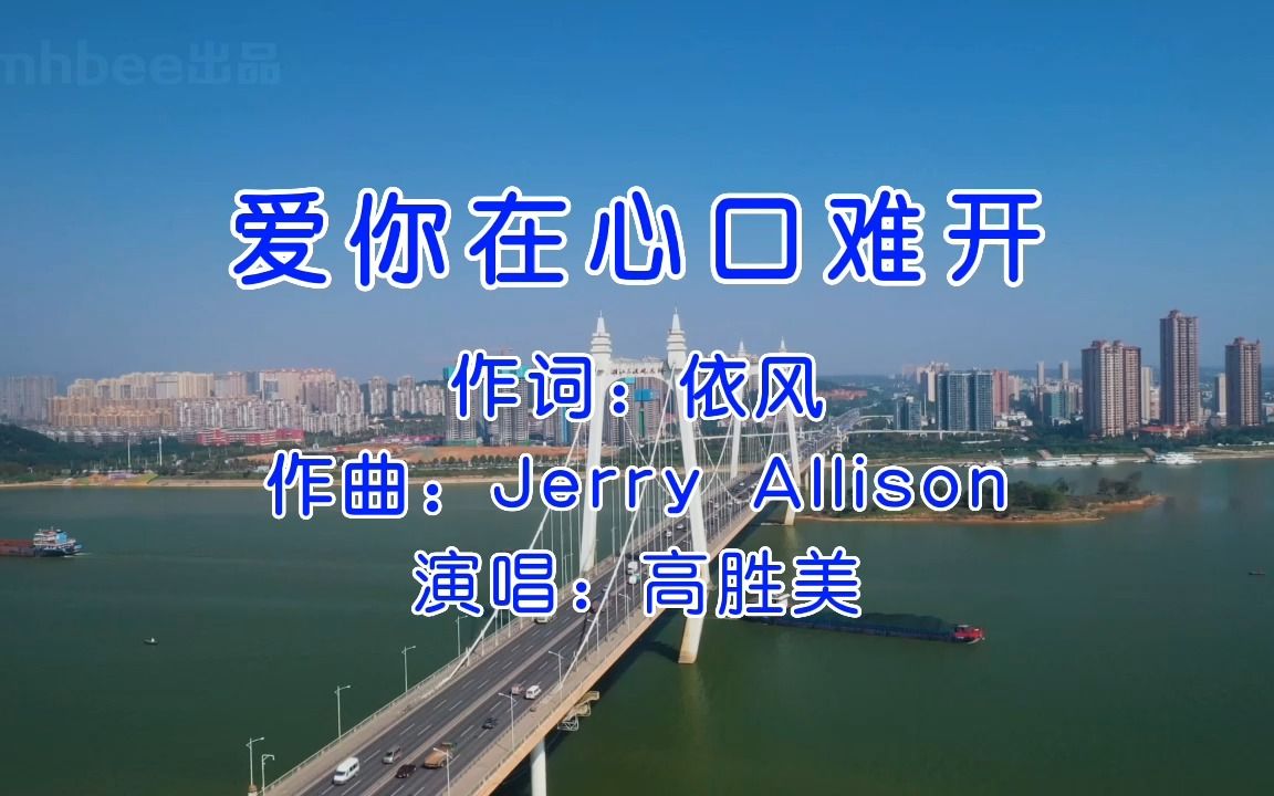 爱你在心口难开 - 高胜美