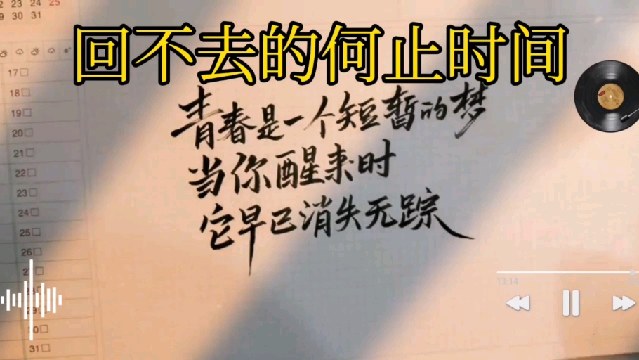 2024年度网络流行歌曲—童声唱,请您欣赏