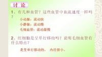 生物七下第四章第二节血流的管道——血管