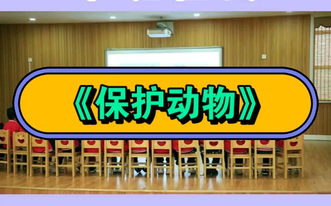 幼儿园公开课|中班社会《保护动物》