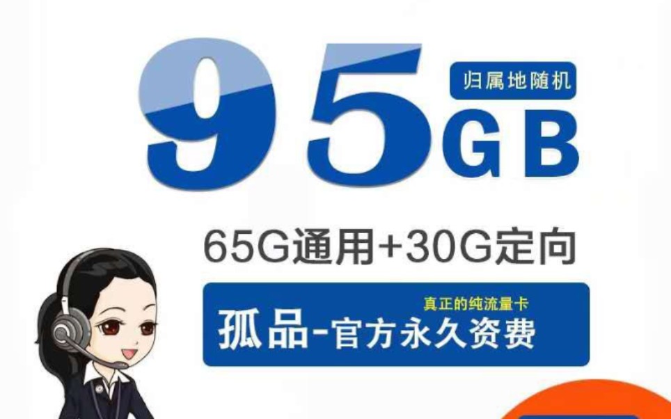 电信12月新套餐 95g大流量卡官方套餐 全国通用的流量不限速不限...