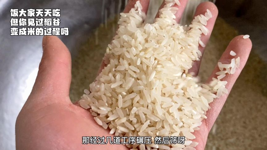 稻谷变成米的过程保证很多城市的朋友们见过!来看农村碾米过程。