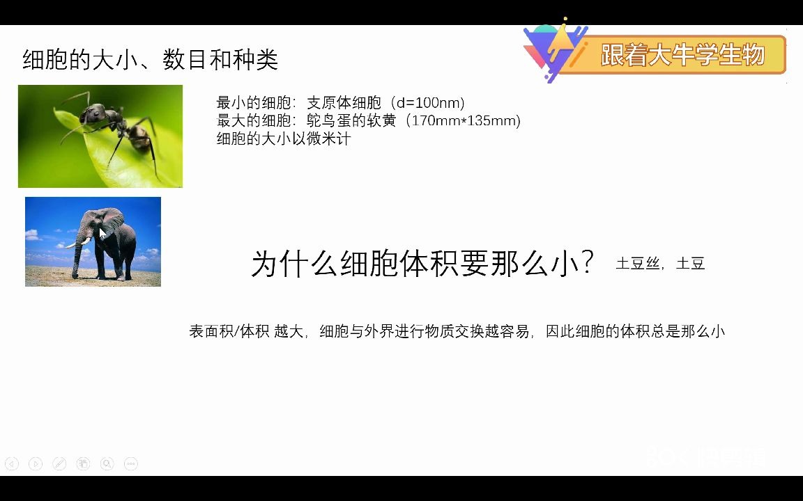 高中生物必修一(浙教版)2.1细胞概述 2.2细胞膜和细胞壁