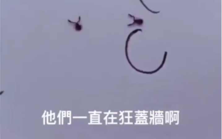 三维生物对二维生物无情迫害