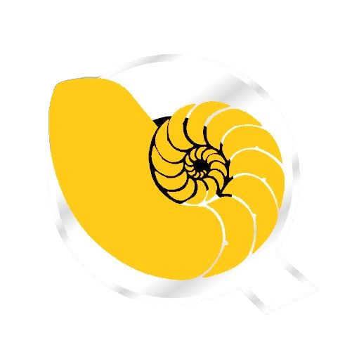 螺哥Bli主頻道 