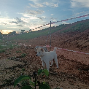 庸人自扰乱军心 