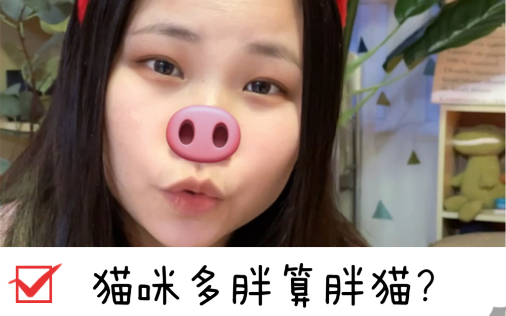 猫咪多胖算胖猫?体脂率计算猫咪胖瘦