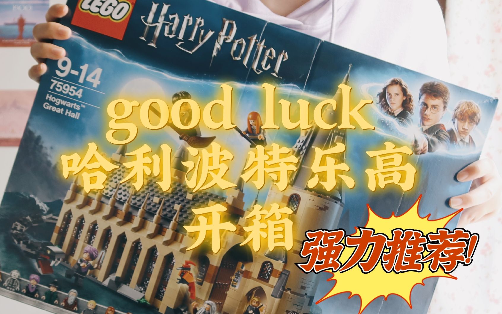 一个简单的哈利波特乐高开箱