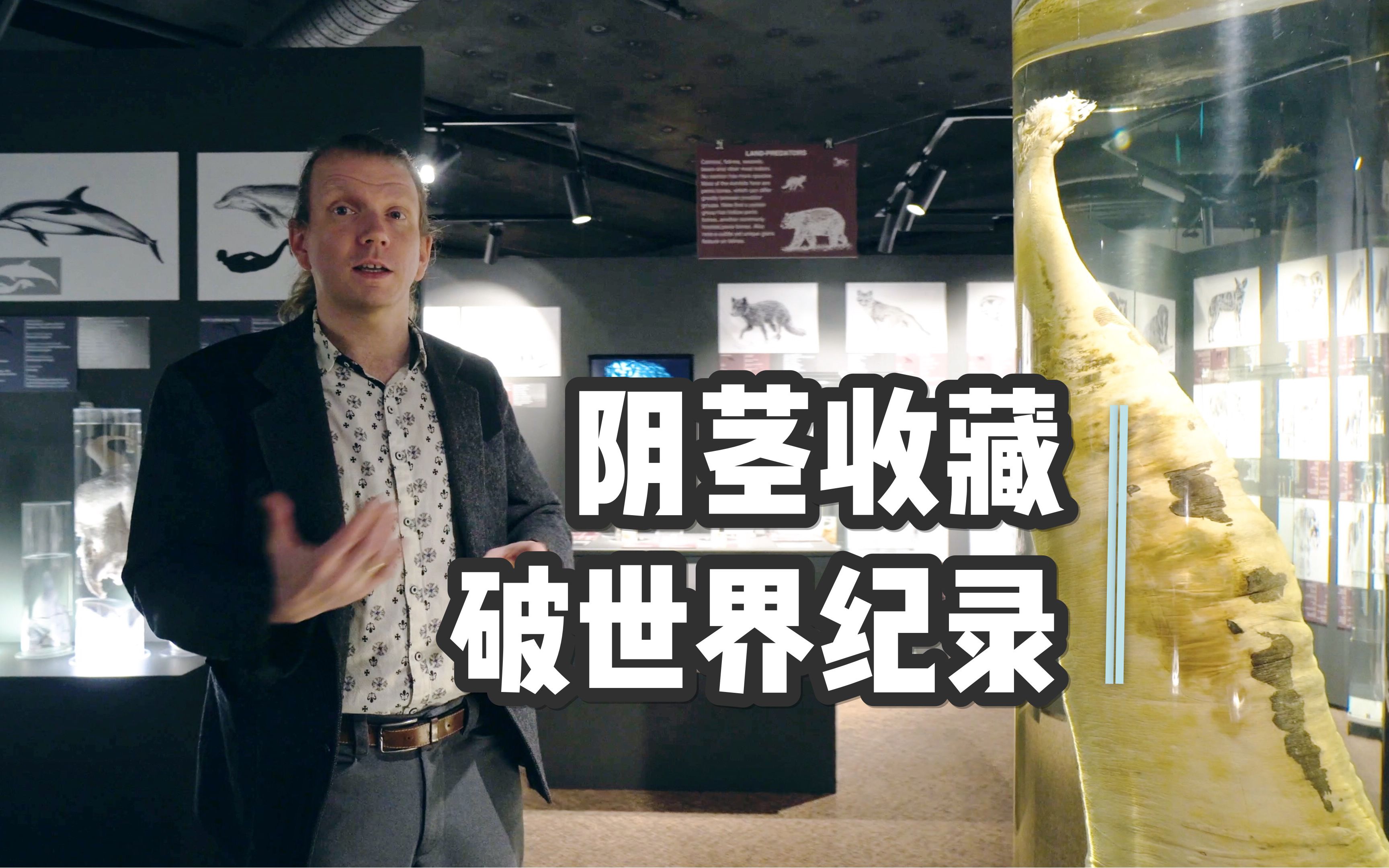 【嘉倩 冰岛纪录片02】阴茎博物馆工作,当经理的冰岛人