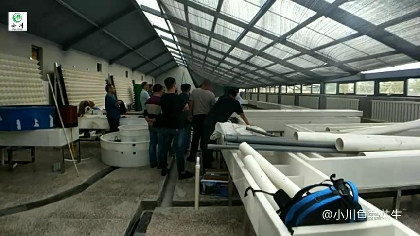 接到鱼菜共生设计订单应该怎么跟客户沟通