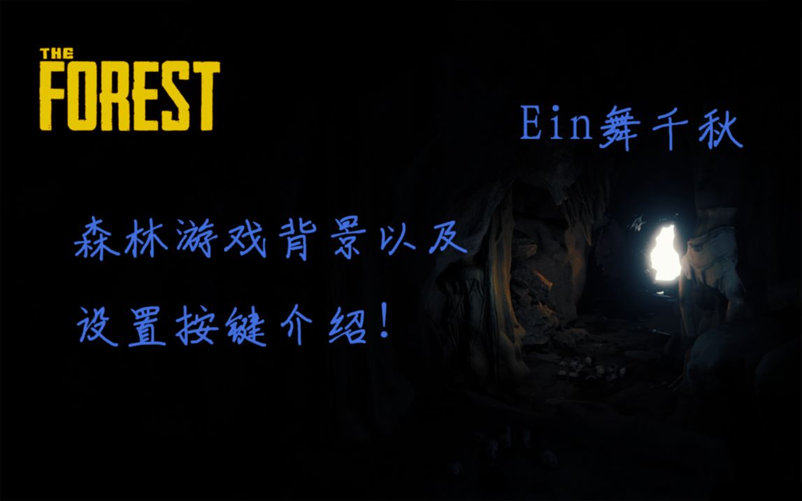 【森林】游戏背景以及设置按键介绍!