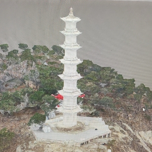 许多多多都 