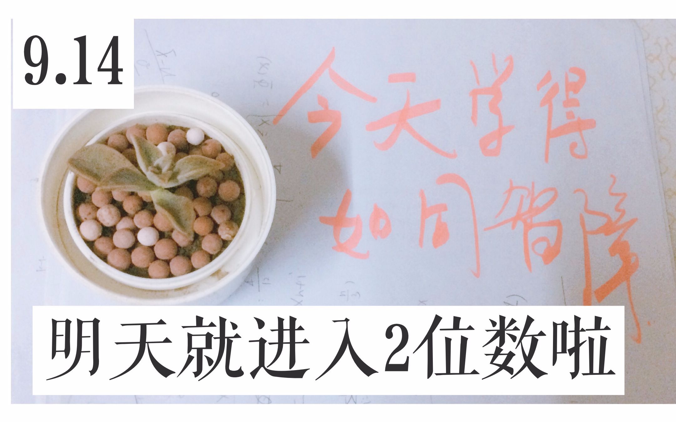 【胡椒的学习日常】D100/ 8h+ / 今天没有早起/ 数理统计崩溃了/我弟...