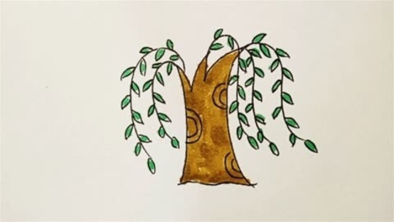 柳树的画法,柳树简笔画