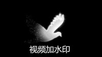 1、如何给视频加水印 文字和图片水印添加方法