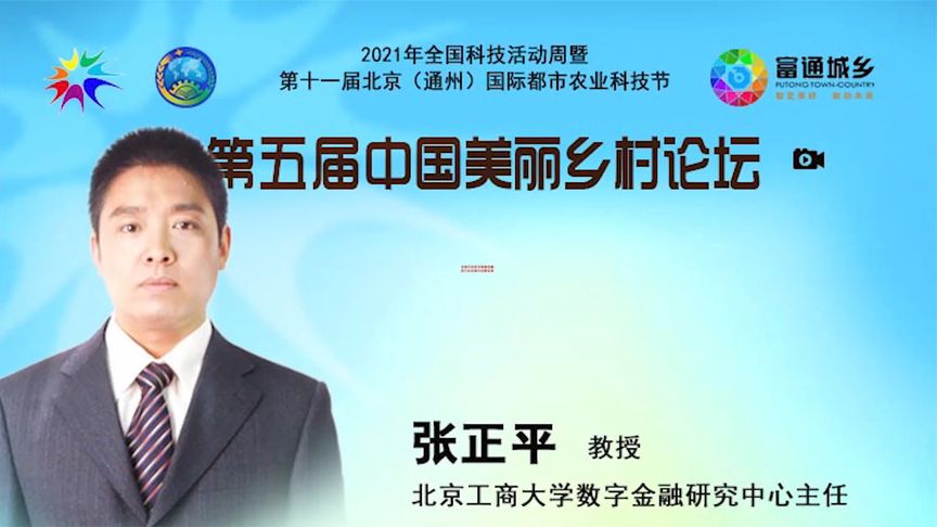 发展农村数字普惠金融,助力乡村振兴战略实施1-张正平教授