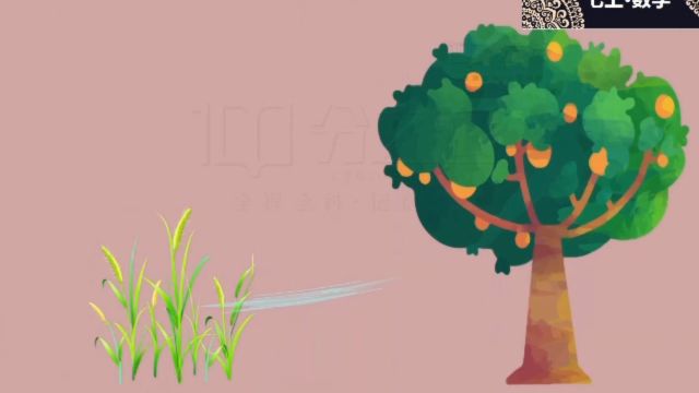 七年级上册数学《相反数和绝对值》动画趣味教学,不只是动画这么