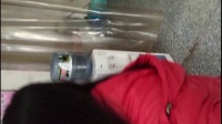 社会实践第二天