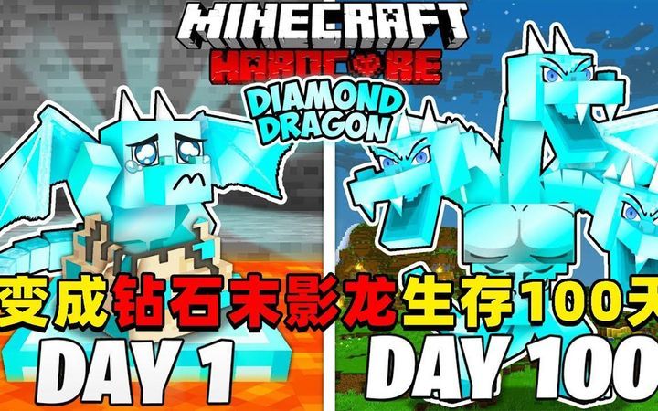 我的世界:变成钻石末影龙在MC中生存100天!