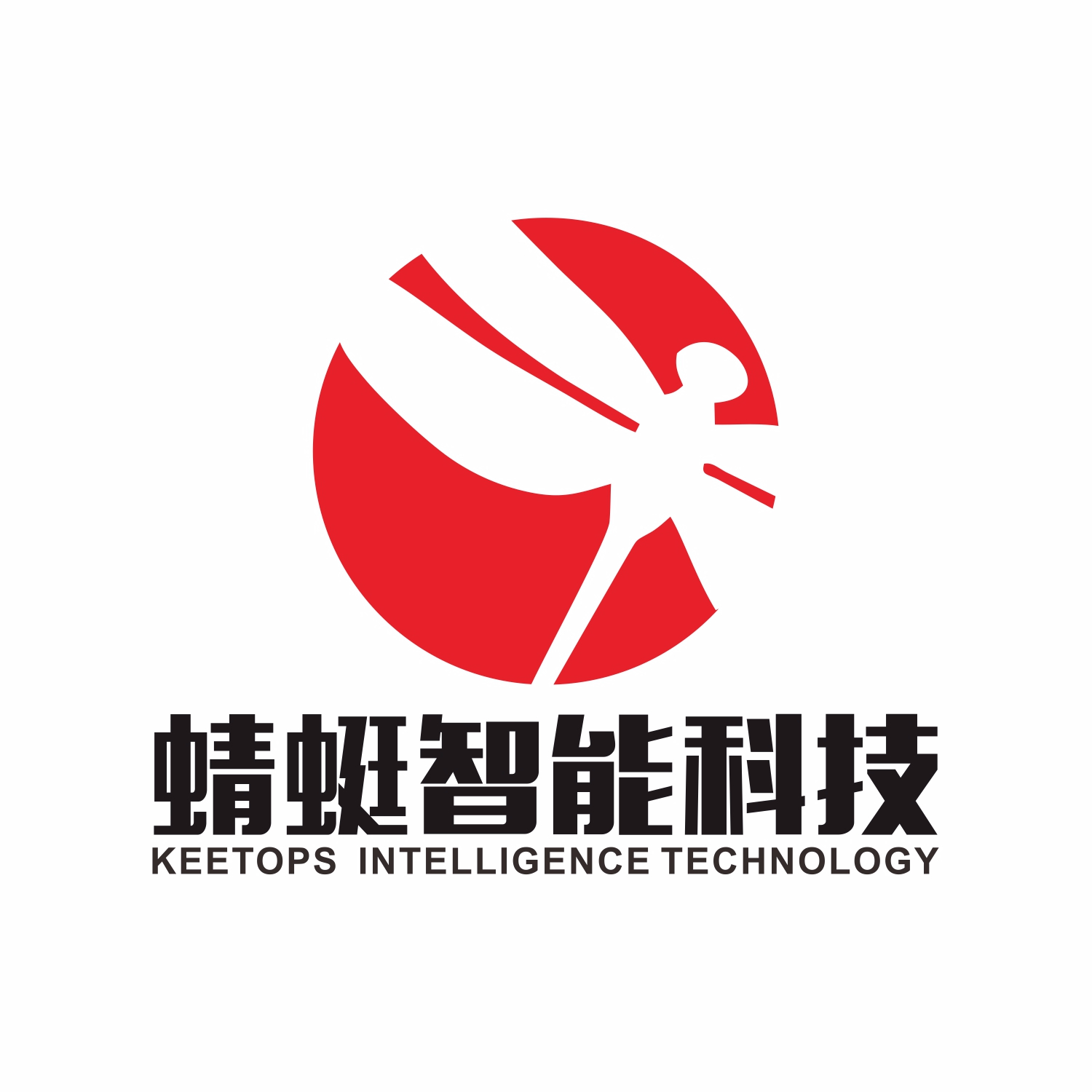 蜻蜓智能科技 