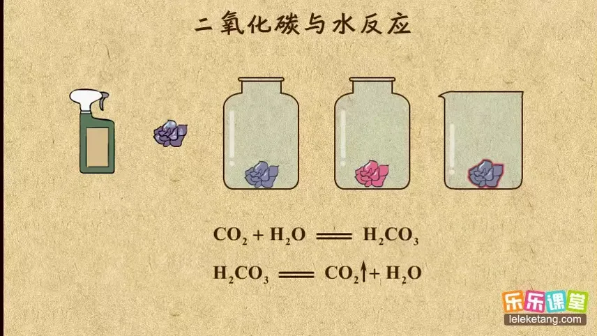6.3.2二氧化碳的化学性质—与水的反应