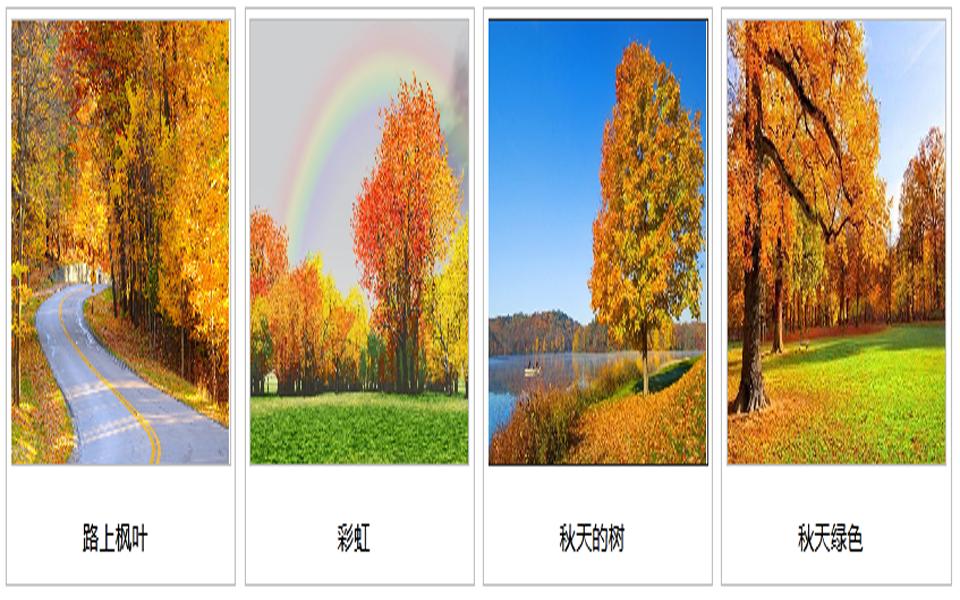 HTML5+CSS3案例实战|图片库列表显示案例