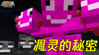 我的世界:凋零名字的来源你知道吗?关于凋零你不知道的事!
