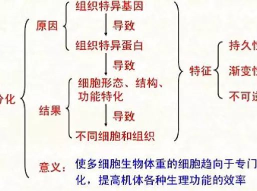 (汉水丑生一轮复习)细胞分化及习题讲解