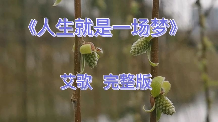 《人生就是一场梦》完整版