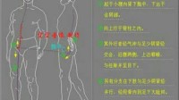 《针灸学》53.冲脉的循行图