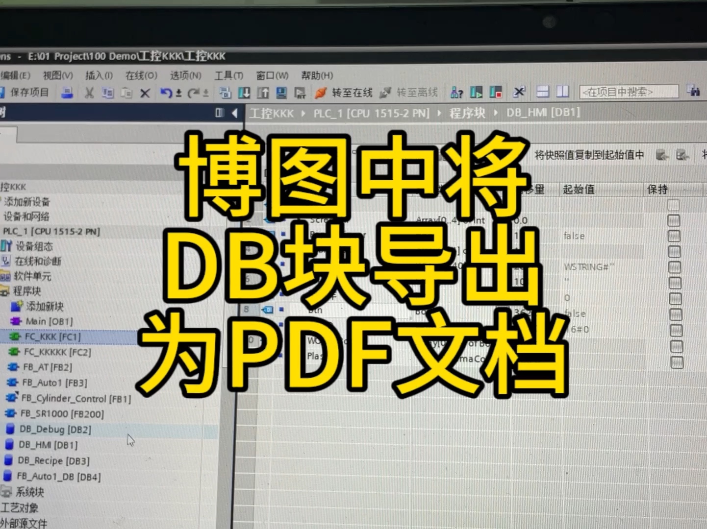 博图中将DB块导出为PDF文件