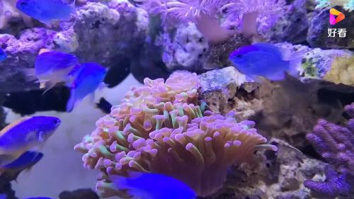 神奇的海底世界景观