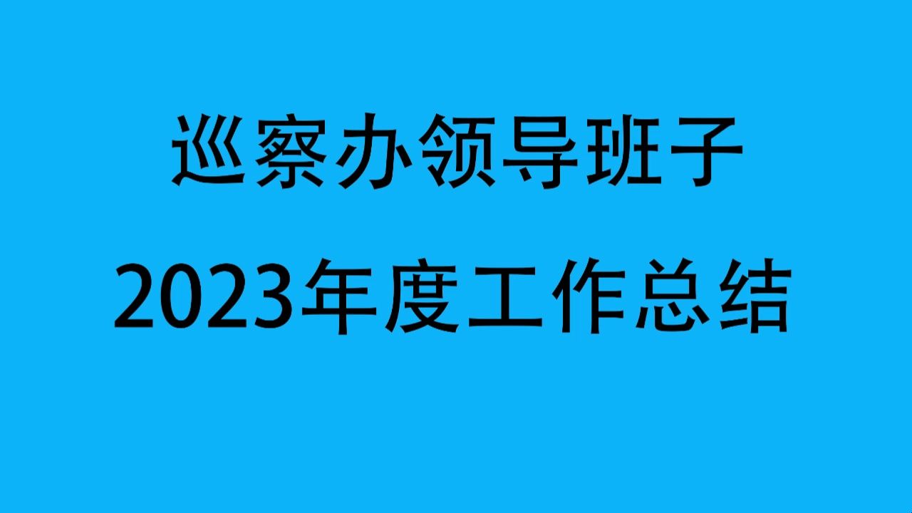 巡察办领导班子2023年度工作总结