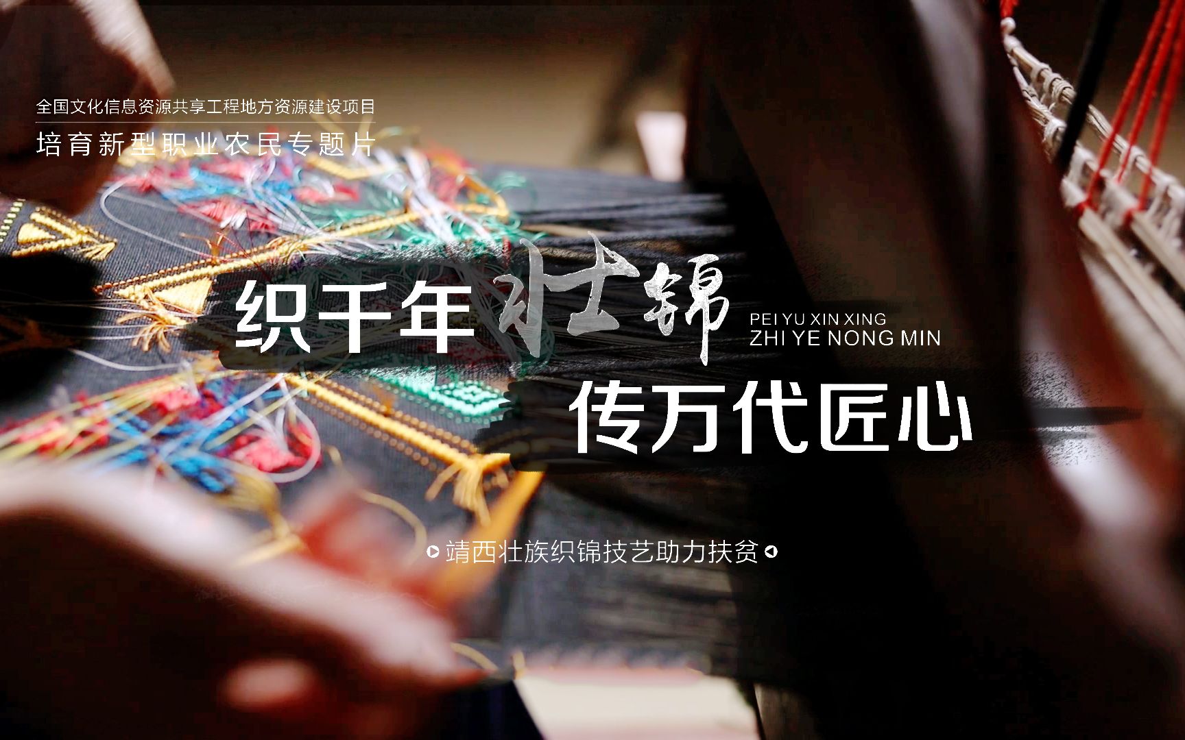 《广西传统手工艺助力扶贫专题片》