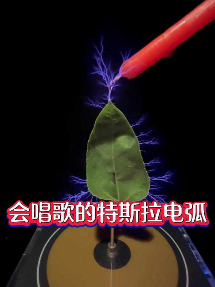 用叶片做振动膜,做会唱歌的特斯拉电弧 用叶片做振动膜,做会唱歌的...