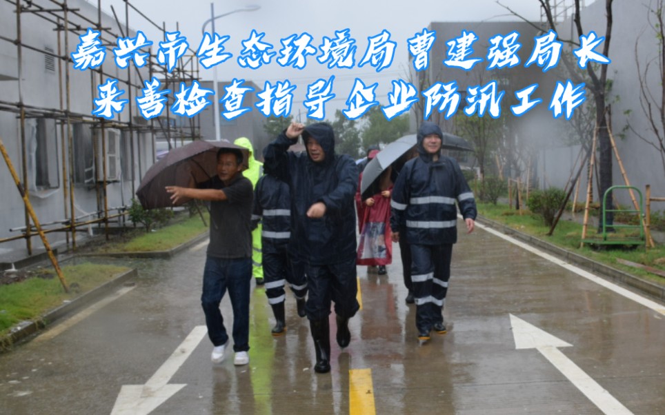 嘉兴市生态环境局曹建强局长来善检查指导企业防汛工作