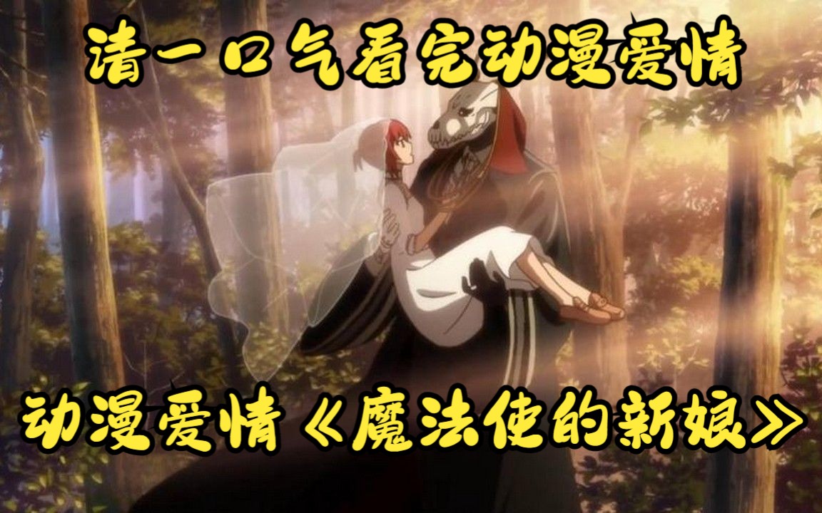 一口气看完动漫爱情《魔法使的新娘》