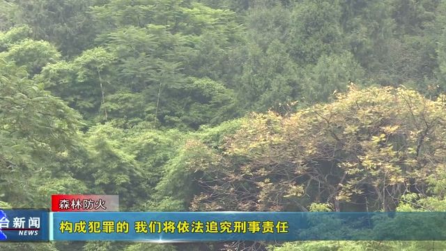 典型案例!野外违规用火将受到法律严惩