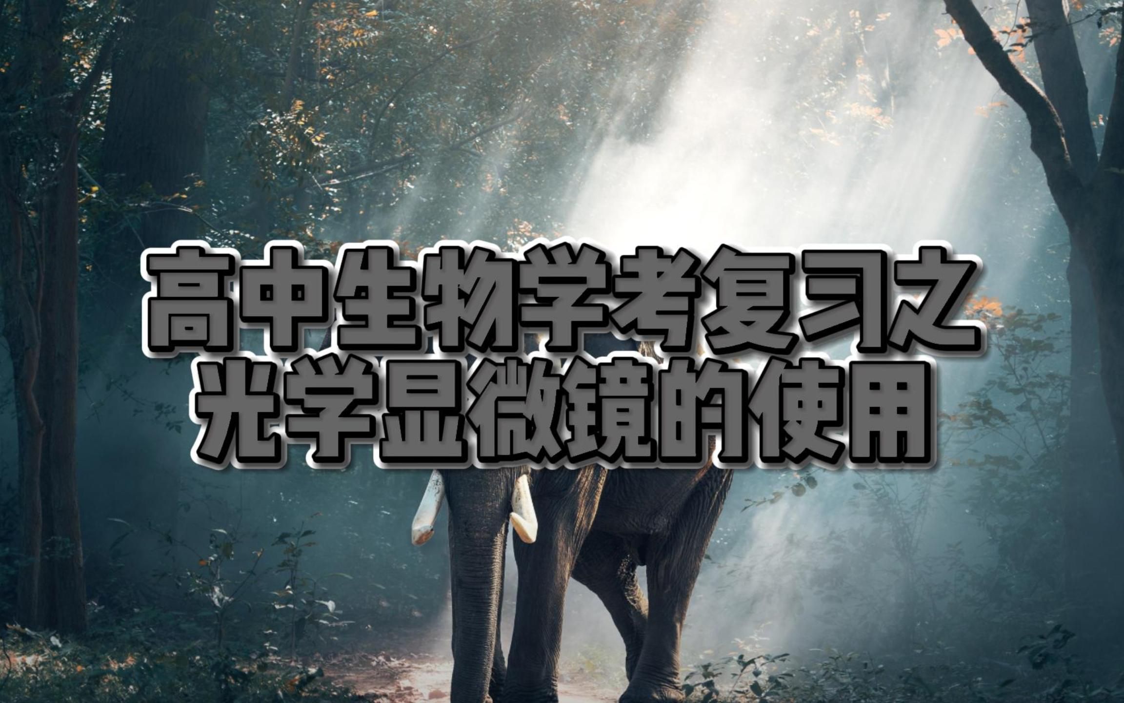 光学显微镜的使用