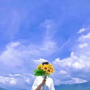 春风吹杨花 