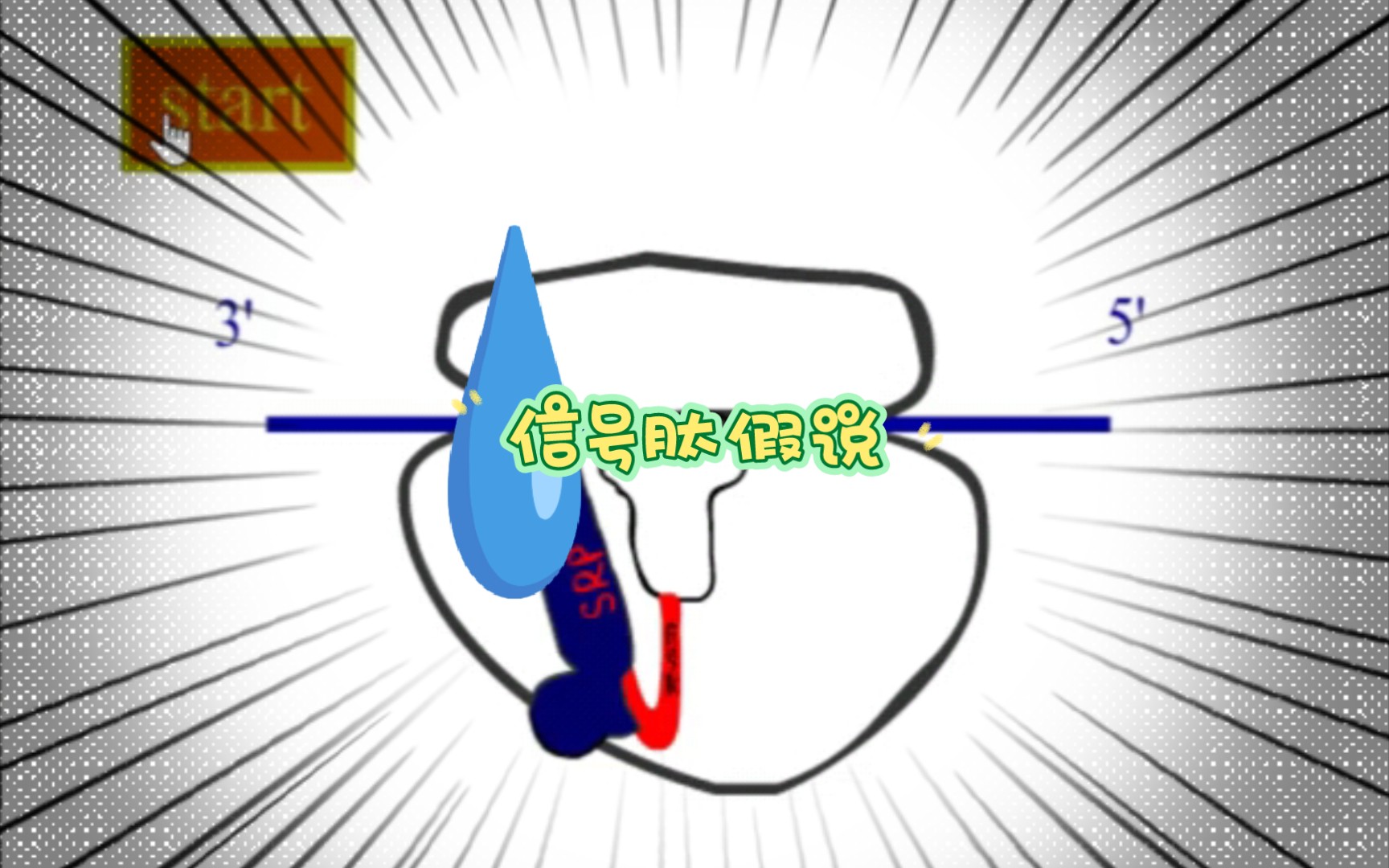 信号肽假说,大学生被迫营业