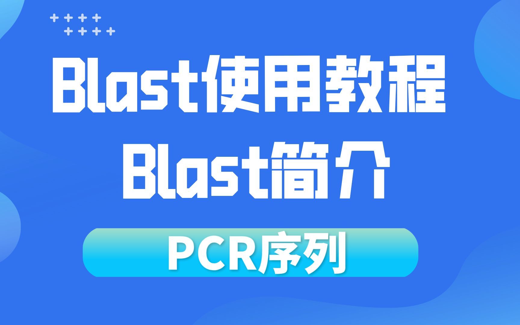 Blast入门使用教程,基本概念,PCR序列,操作演示